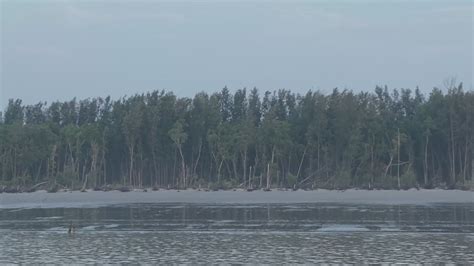 Saxvideodasi Videos Download The Best Free 4k Stock Video Footage