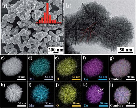 Structural Characterization Of C Mnco 1 3 A An Overview Sem