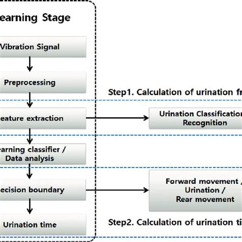 Algorithm Process For The Recognition Of Urination Download