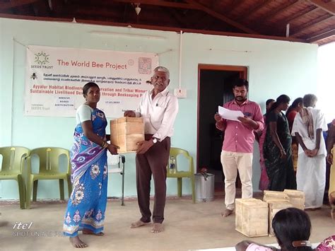 Gallery Examples World Bee Project