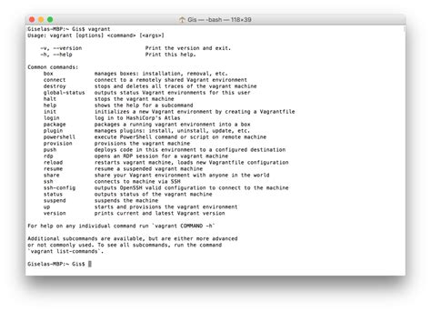 use vagrant with microsoft azure return gis