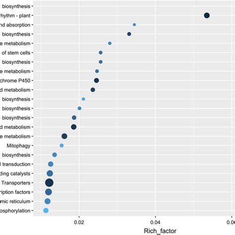 Gene Ontology Go Analysis Of Rna Seq Go Term Classification Of The