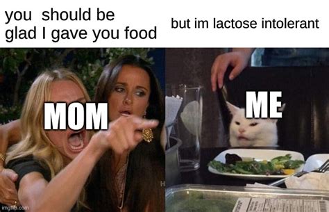 Woman Yelling At Cat Meme Imgflip