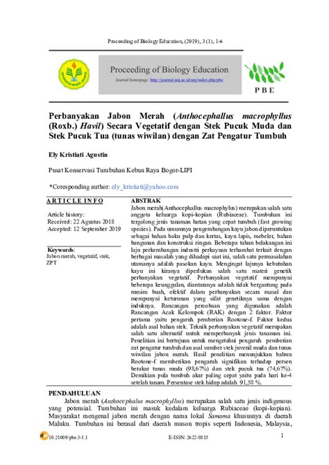 Pdf Pertumbuhan Stek Jabon Merah Roxb Havil Anthocephalus