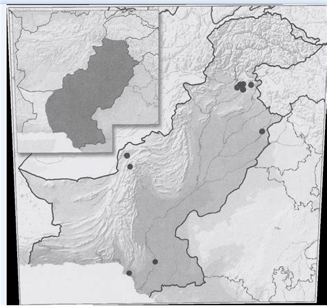 Qgis Inverted Georeferenced Image As Output Of Gdal Geographic Information Systems Stack