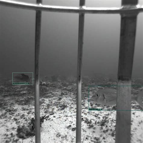 Mobilenetv3 Backbone Qualitative Outputs These Sample Outputs Show The Download Scientific