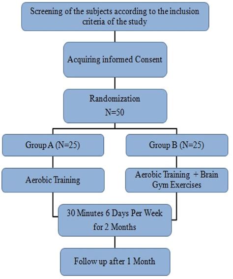 Flowchart Of The Procedure Download Scientific Diagram