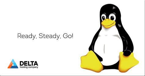 Първи стъпки в Linux Блогът на Delta Bg