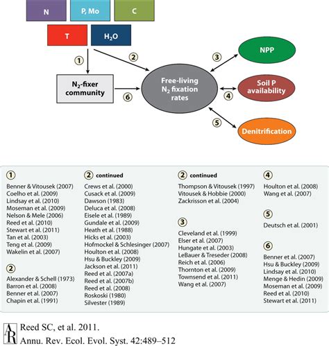 Schematic Representation Showing Potential Biotic And Abiotic Controls