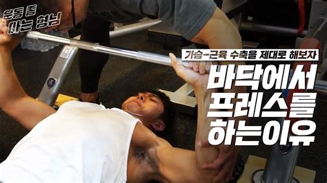집에서 덤벨로 할 수 있는 가슴운동루틴 벤치바벨 필요x Youtube