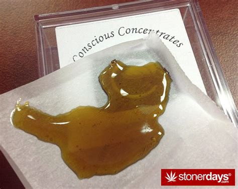 Yabadabadoo Stoner Pictures Stoner Blog