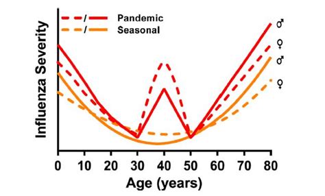 The Interplay Of Hormones And Infectious Diseases How Our Sex Can Impact Our Risk Of Getting