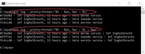 git log pretty format