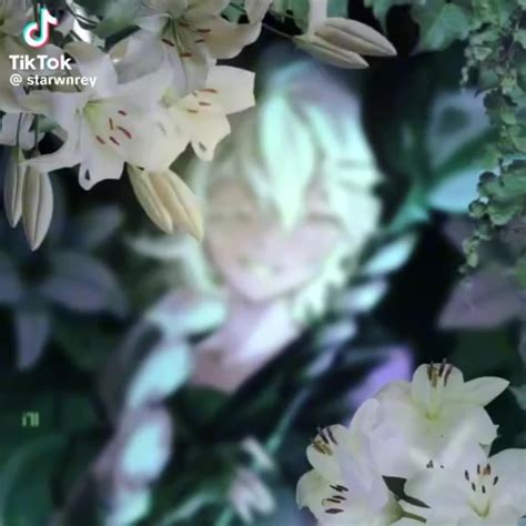 Pure Vanilla Cookie Fanart