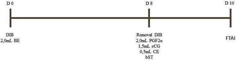 Schematic Representation Of Estrus Synchronization And Download Scientific Diagram