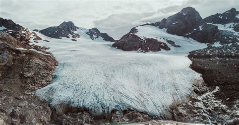 Groundbreaking 2 Million Year Old Dna Discovery Could Hint At The Future Of Earth