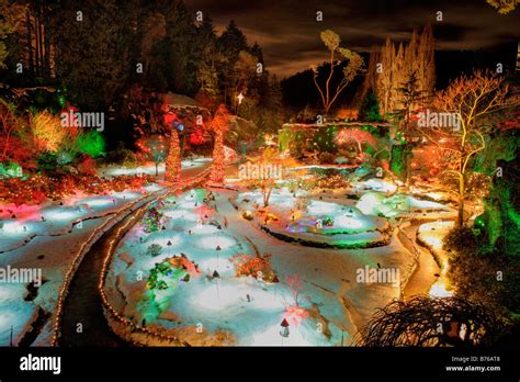 Sunken Garden With Christmas Lights At Night Butchart Gardens Victoria British Columbia Canada