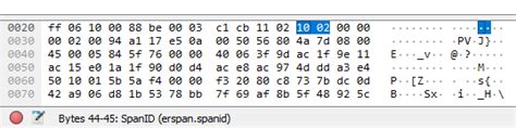 tcpdump filter for erspan session id value network engineering stack