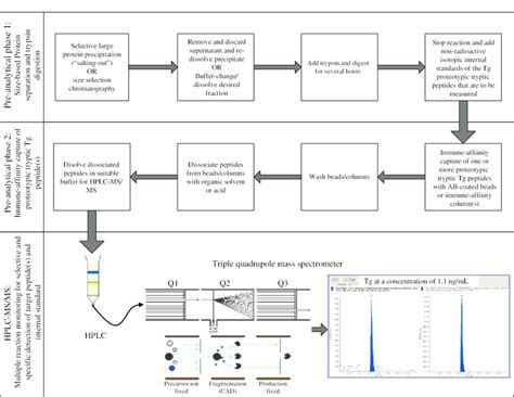 Schematic Depiction Of The Workflow For Current High Pressure Liquid Download Scientific