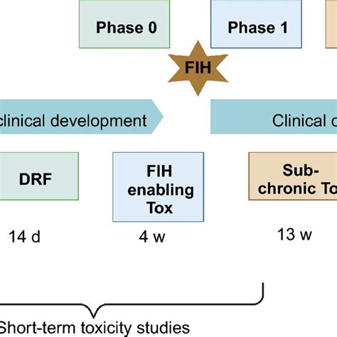 Toxicological Testing Of New Molecular Entities In The Different Stages Download Scientific