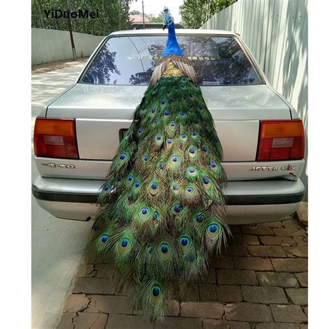 Artificial Bird Peacock Model Large 150cm Beautiful Feathers Peacock Handicraftprophome