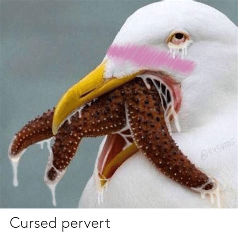 Choke Me Daddy R Makemesuffer