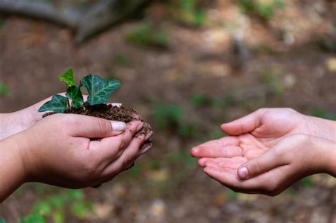 Premium Photo Womens Hands Passing The Earth Into Small Hands Premium Photo Womens Hands Passing The Earth Into Small Hands