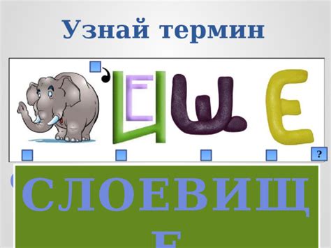 Дидактические материалы к уроку биологии в 5 классе базовый уровень ФГОС по теме «Лишайники