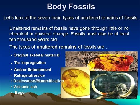 Fossils Mr Morris Science What Is A Fossil