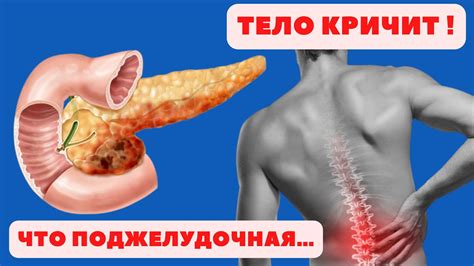 ПРИЗНАКИ проблем с ПОДЖЕЛУДОЧНОЙ Продукты которые любит ПОДЖЕЛУДОЧНАЯ ЖЕЛЕЗА Youtube