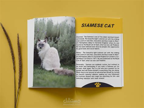 كتاب صغير مستقل