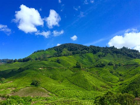 Hills Photos, Download The BEST Free Hills Stock Photos & HD Images