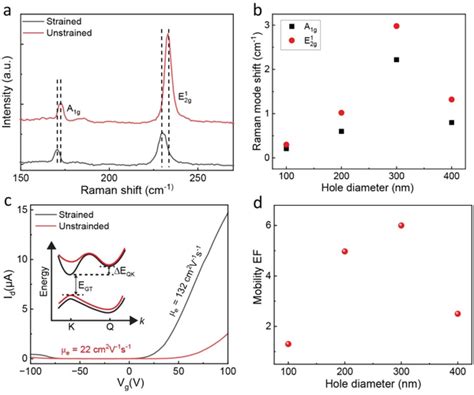 the hole‐array and top al2o3 induced strain effects on mote2 fets a