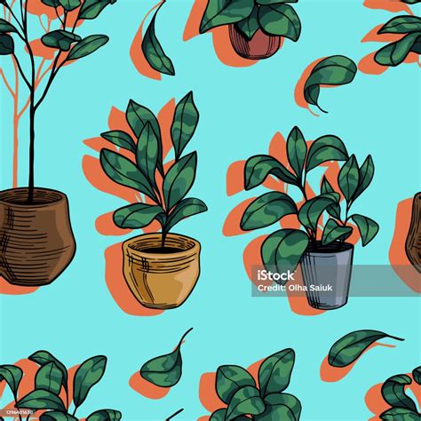 바이올린 잎 무화과 나무 손으로 그린 벡터 원활한 패턴 색깔의 식물 배경 하우스 플랜트 빈티지 드로잉 벽지 프린트 카드 장식 랩 패브릭 직물을 위한 추상적인 디자인 0명에