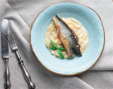 Saiblingsfilet Mit Kohlrabi Gemüse Fangfrischer Genuss Aus Dem Lungau