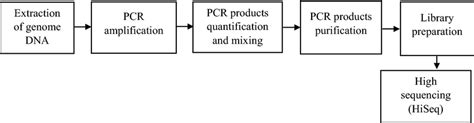 Steps Of Microbial Community Analysis Download Scientific Diagram