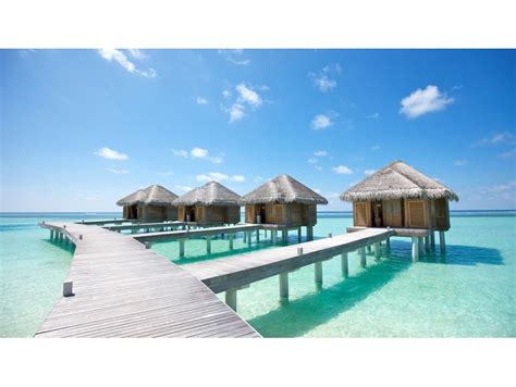 დაისვენე მალდივებზე ინდოეთი 0 Gel სანტური