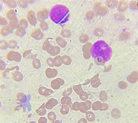 Ricardo Núñez Posted On Linkedin