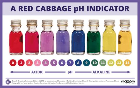 Red Cabbage Indicator Color Chart Alvis Twirlwing