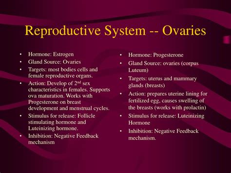 Ppt Endocrine System Powerpoint Presentation Free Download Id3765437