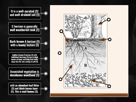 Brown Earth With The Use Of An Annotated Diagram Labelled Diagram
