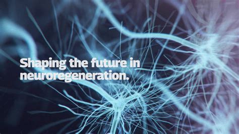 Welcome Office University Of Crete On Linkedin University Of Crete Rectorate Press Release