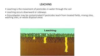 Pesticide Analysis Pptx