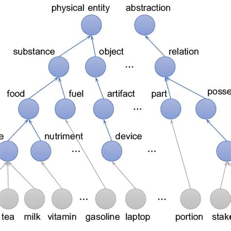 Figure B 1 Construction Of A Concept Taxonomy Gray Circles Represent