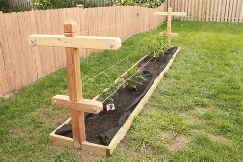 Raspberry Trellis Systems Raspberry Trellis System Tunneltech Ca