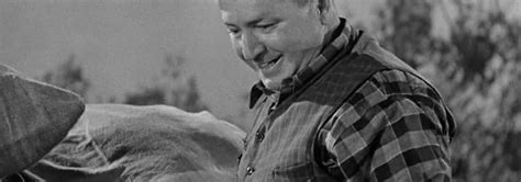 Watch The Three Stooges Comedy Gold Standard S01e39 Yes We Have No