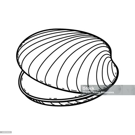 Isolated Vector Sketch Outline Of Sea Shell Stock Illustration