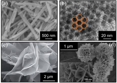 A Sem Image Of Nanorod Catalyst Reprinted With Permission John