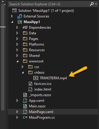 HTML5 Video Not Working On MAUI WebView Issue 4807 Dotnet Maui GitHub