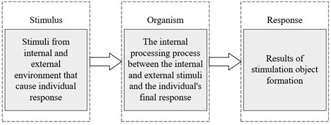 stimulus response model